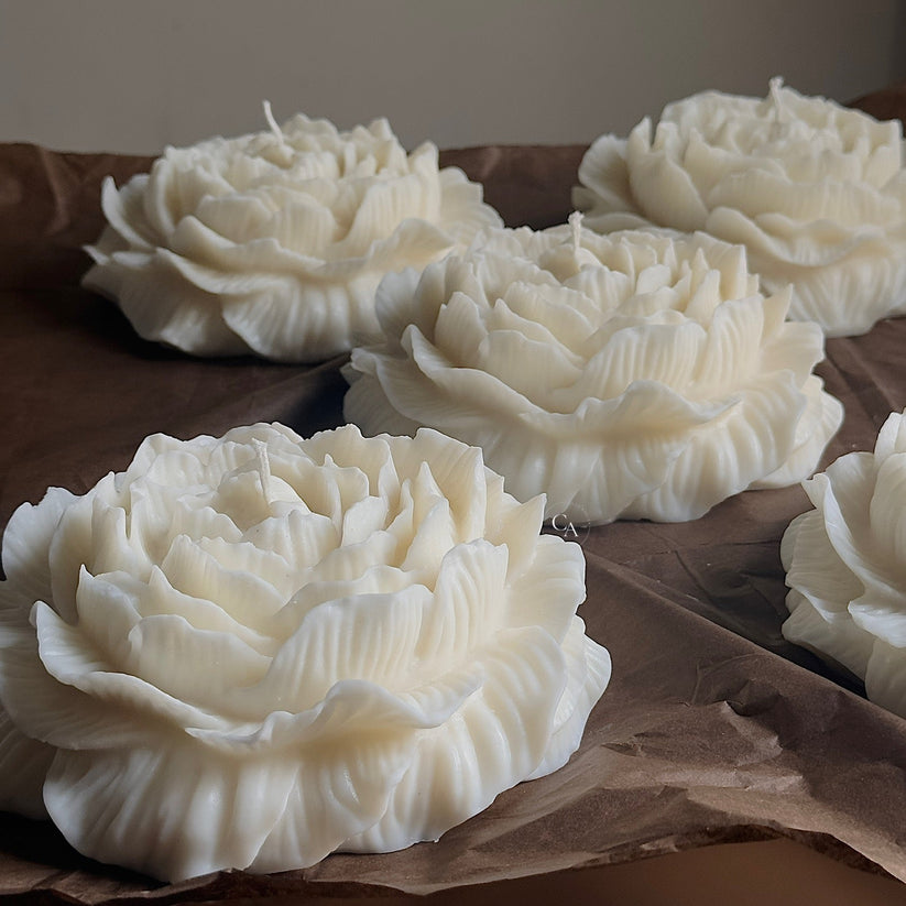 Bloom – Coco Atelier